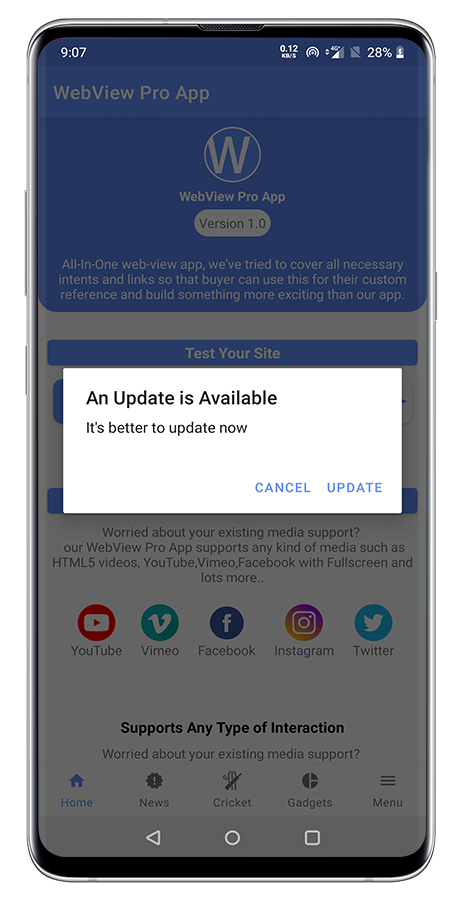 WebPro - Easy Configurable Android WebView Pro App Template by AndroMOB